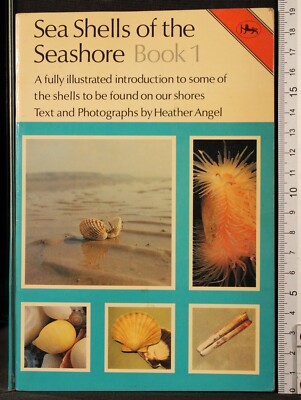 SEA SHELLS OF THE SEASHORE. BOOK 1. HEATHER ANGEL. JARROLD COLOUR ...