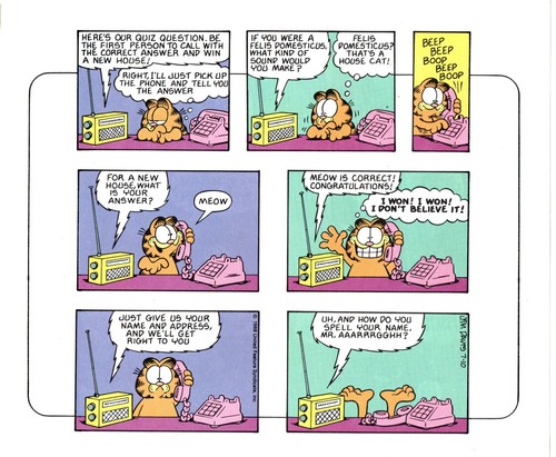 1980's Vintage Garfield COMIC STRIP Pin-Up WALL ART - RADIO QUIZ WINS ...