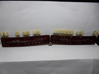 Dental Lab Equipment - Trubyte Bioform