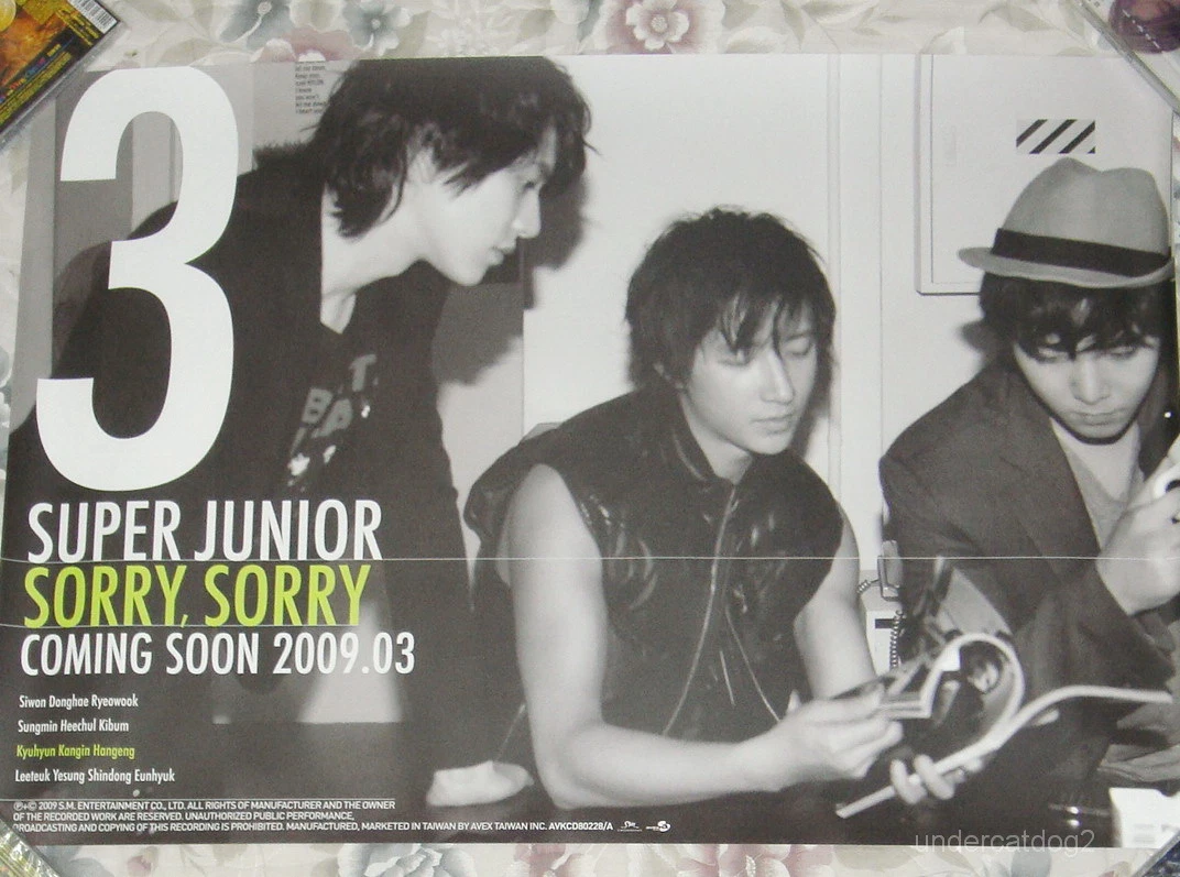 Super Junior Ryeowook Sorry Sorry