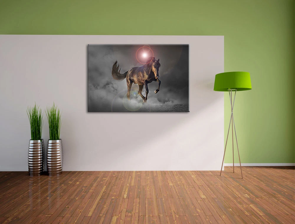 Schwarz Weiße Pferde Springen