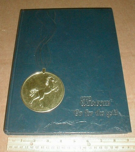 1992 Downers Grove South High School DuPage County Illinois DGS ...