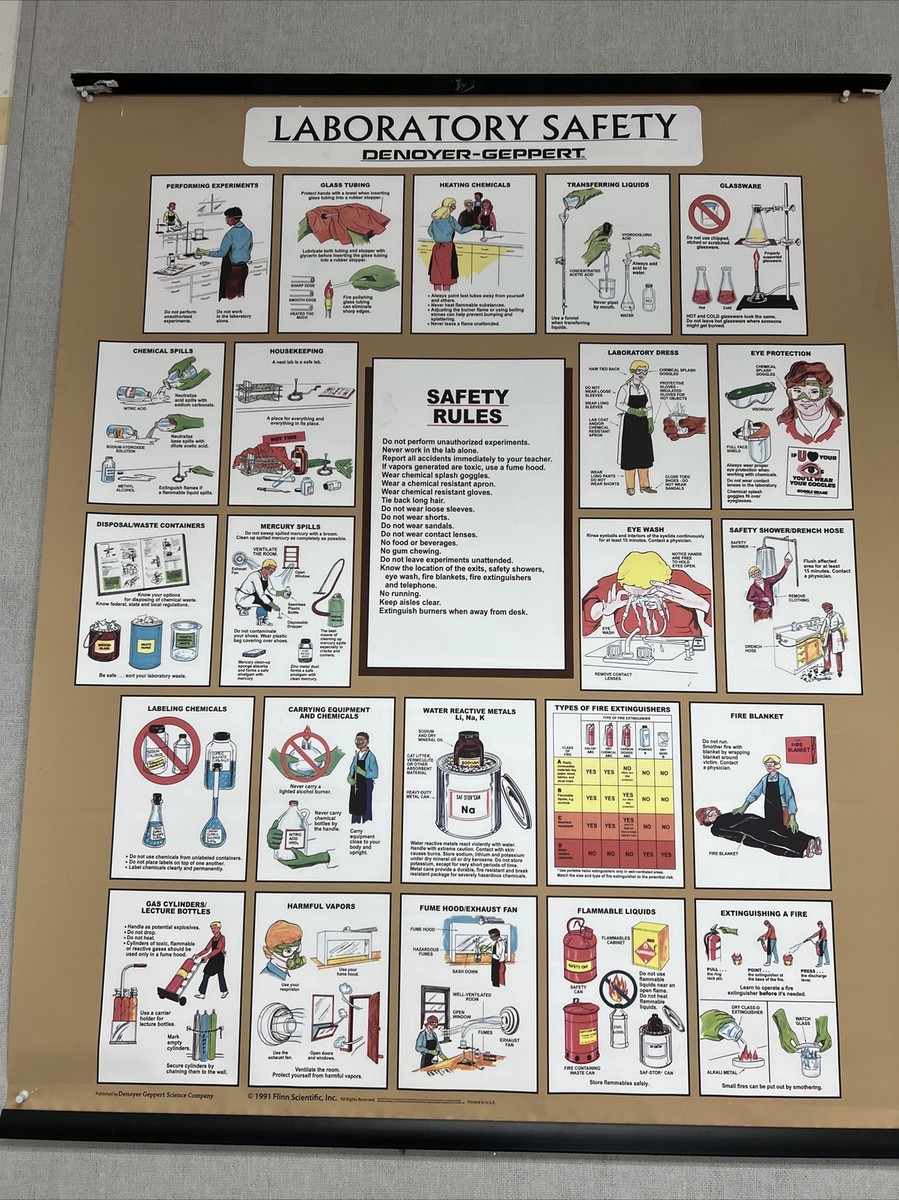 Lab Safety Poster Lab Safety Rules Everyone Should Follow (Free
