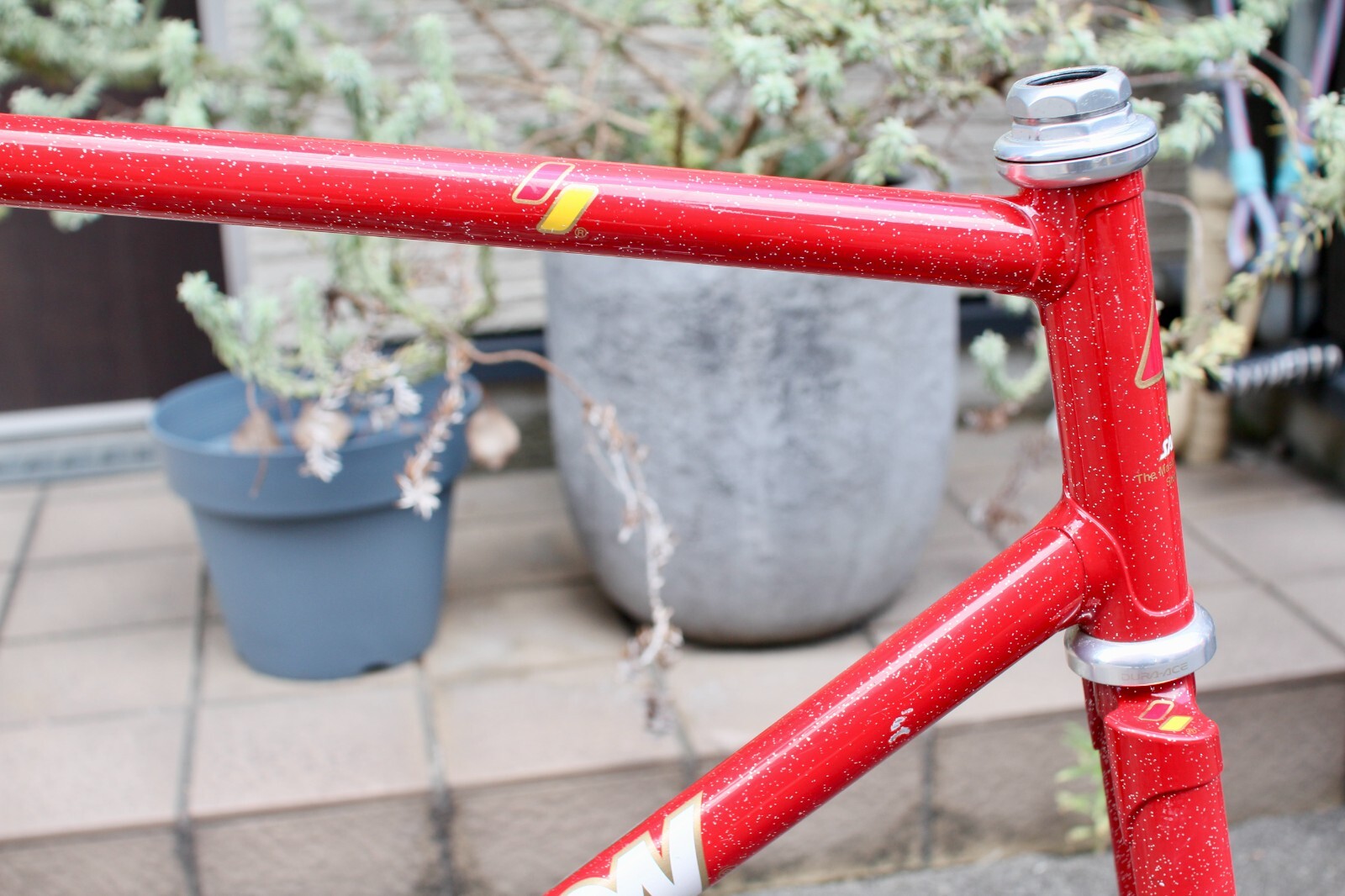 KAMIYAMA RED SAMSON NJS KEIRIN Pista Frameset 54.5cm | eBay