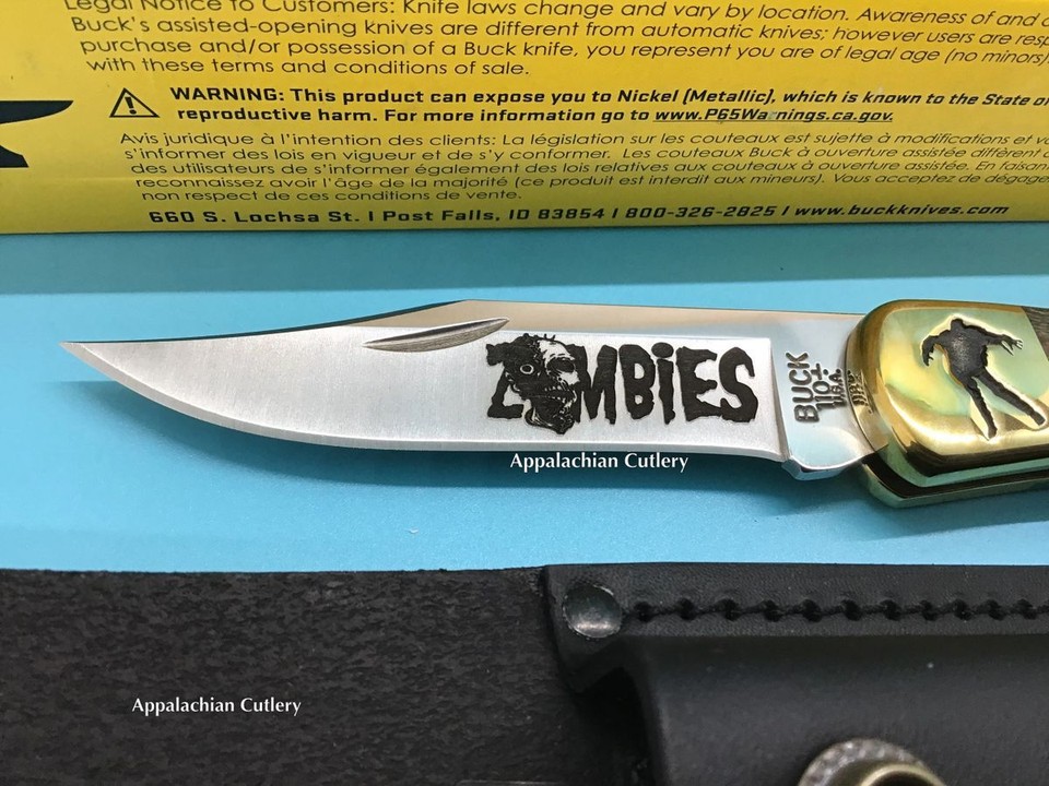 Brian Yellowhorse Custom Buck 110 Cholla Cactus Knife Zombies YH409 | eBay