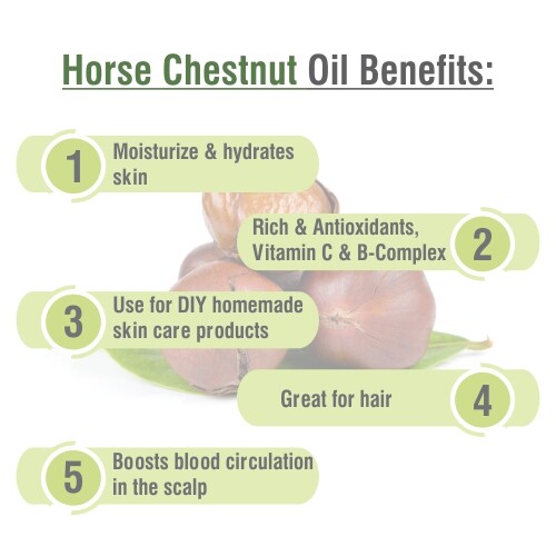 Horse Chestnut (Aesculus) 100% Pure & Natural Essential Oil 10ml-5000ml ...