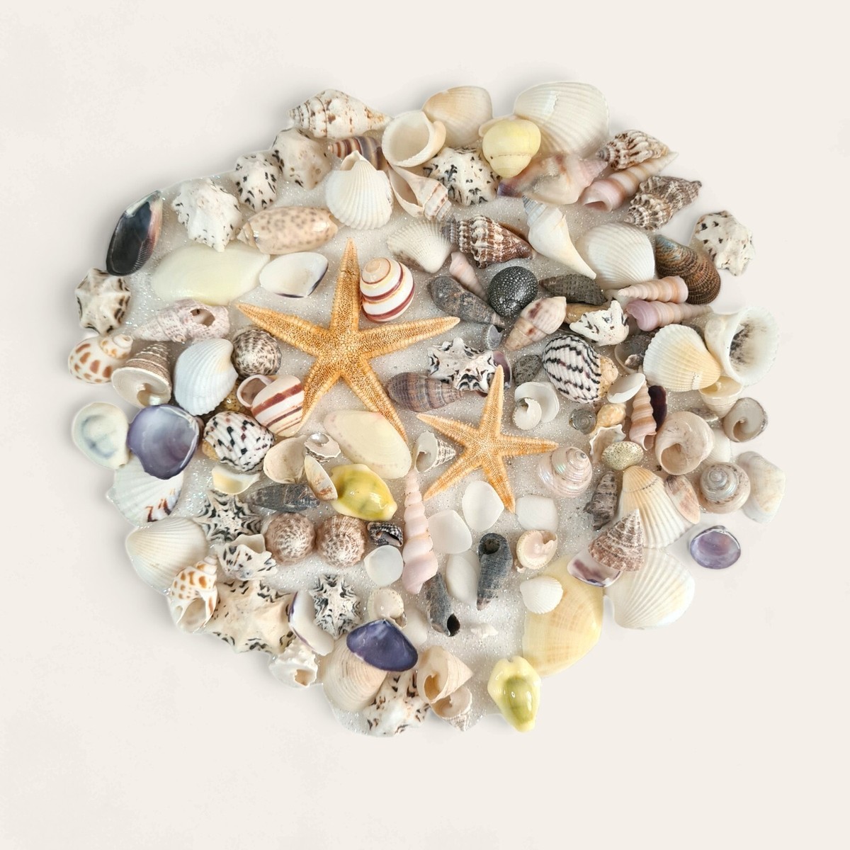 Seashells And Starfish On Beach