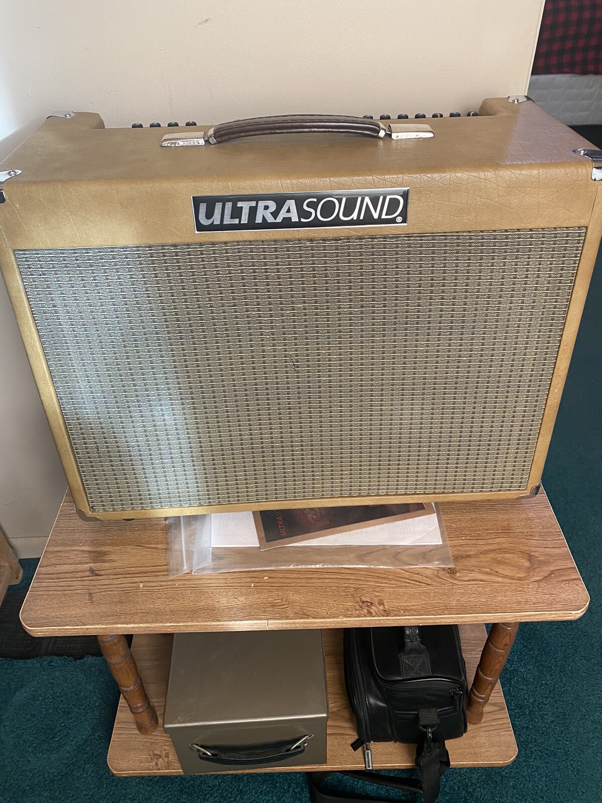 Ultrasound Pro 200 acoustic Amp | eBay