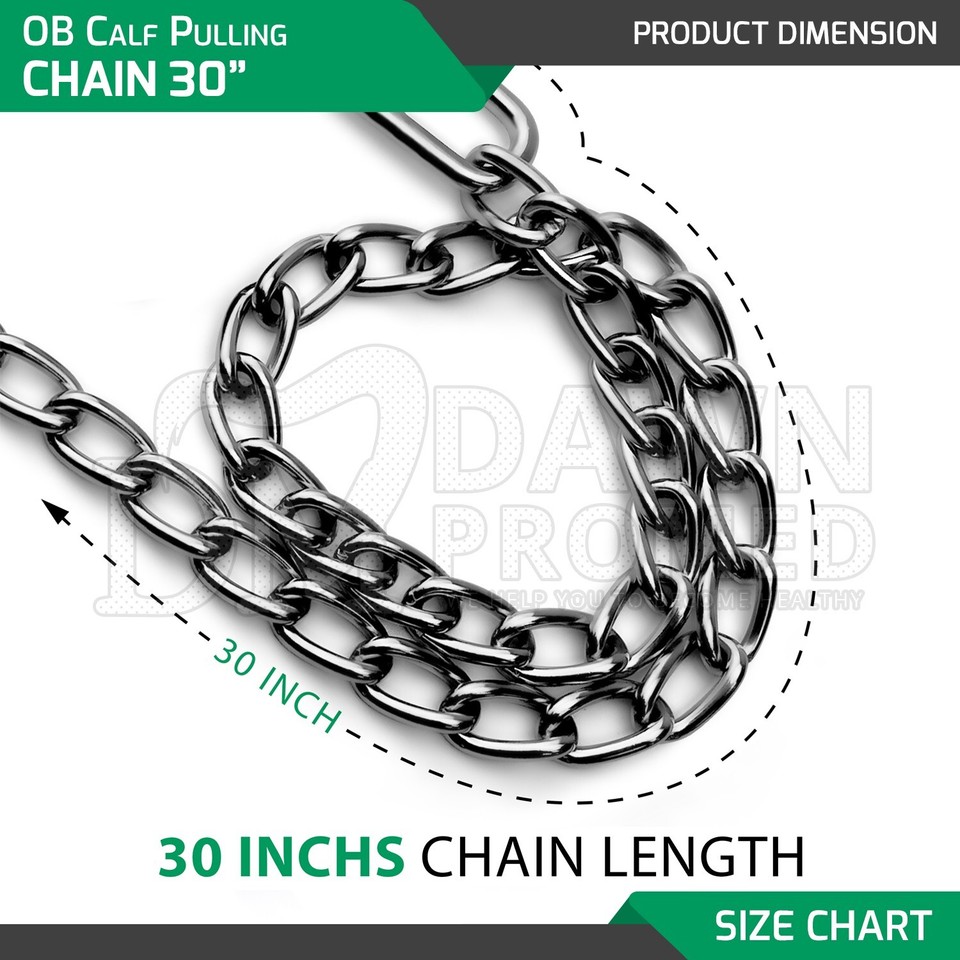 4 Pcs Calf Pulling Hook & Chain 30" Apparatus Leg Catch Veterinary Inst ...