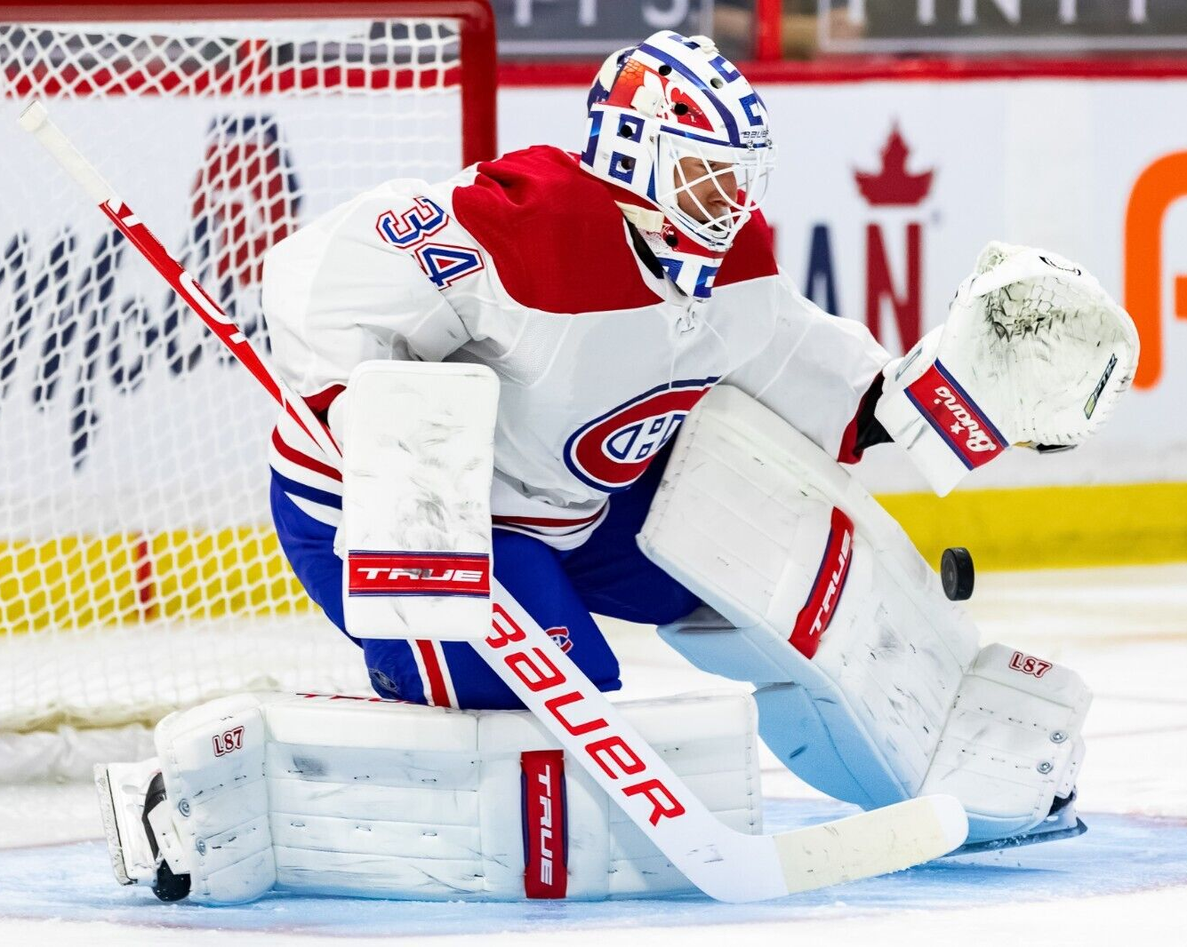 Jake Allen Montreal Canadiens Unsigned 8x10 Photo (L1) | eBay