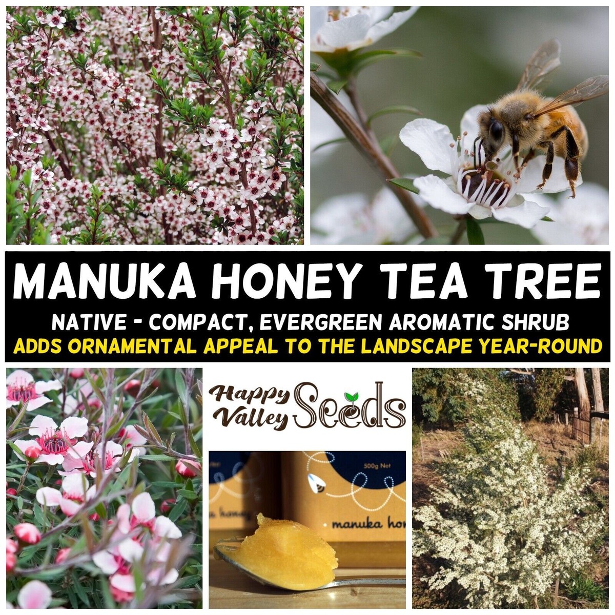 Manuka Honey Tree Meluka Honey Vs Manuka Honey: What Is The