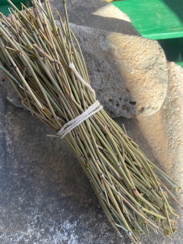 1 Lbs. mormon tea, Brigham tea. Grown and harvested in the white mtns ...