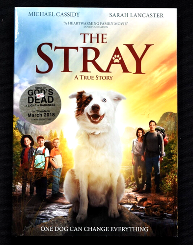 The Stray (DVD) NEW SEALED | eBay