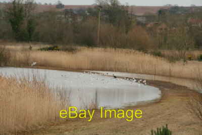 Photo 6x4 Black sheep: pond on Bevercotes Colliery site Markham Moor ...