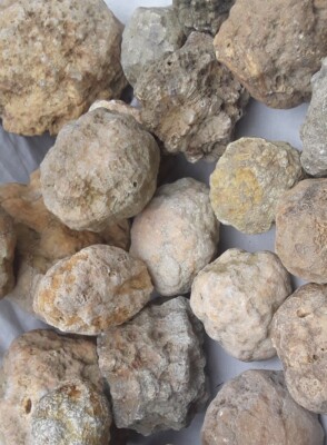 Unopened Geodes Large Variety Mixed Natural Quartz Kentucky Crystal ...