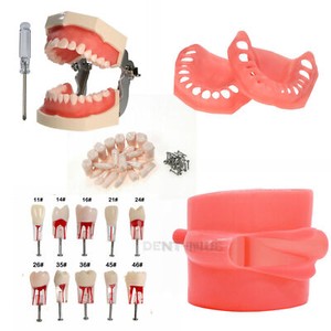 Dent-inus | eBay Stores