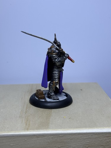 28mm Champion Of Faith Miniature Pathfinder 5 Ed Dungeons & Dragons ...
