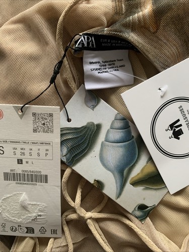 Zara Mesh Maxi Dress Long Lined Studies Of Shells And Marine Life ...