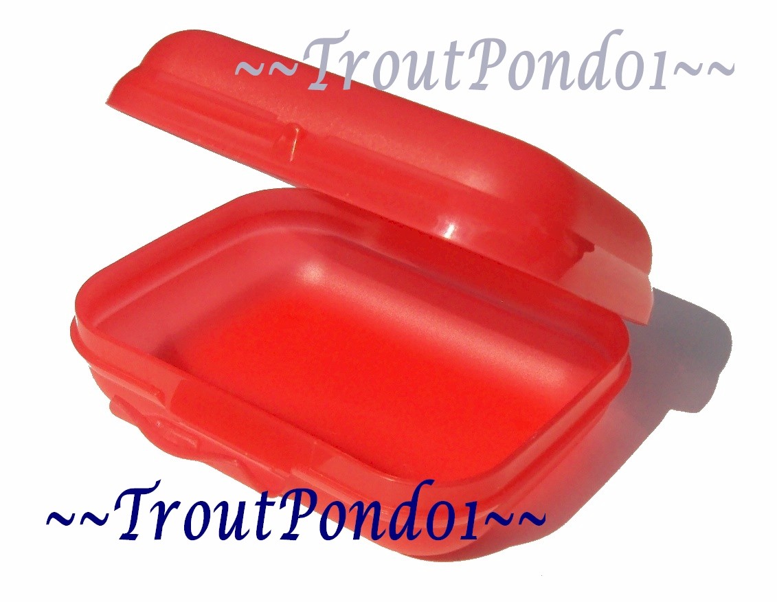 Tupperware Packables Hinged Container Trinket Box Oyster Watermelon Red ...