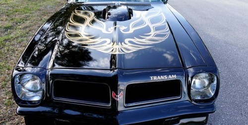 76-78 BANDIT TRANS AM SPECIAL EDITION COMPLETE GOLD DECAL KIT w STRIPES ...