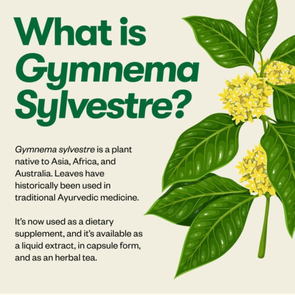 Gurmar Gymnema Sylvestre Tea Bags Blood Sugar Control Weight Loss ...