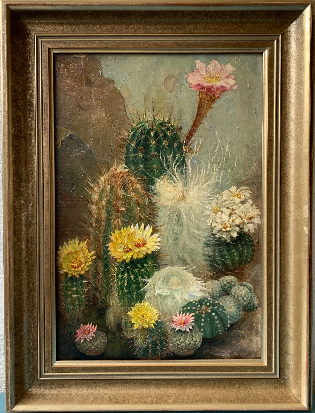 cacti / cactuses / cactus in visual art on Tumblr