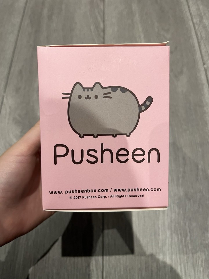 Pusheen Box Fall 2017 Exclusive Toadstool Pusheen Vinyl Figure | eBay UK