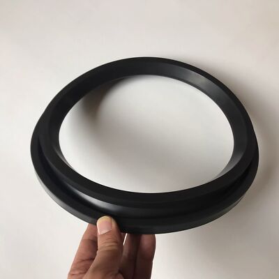 1PCS NEW FIT FOR P5524C-01/DN200 Inlet Dome Valve Seals | eBay