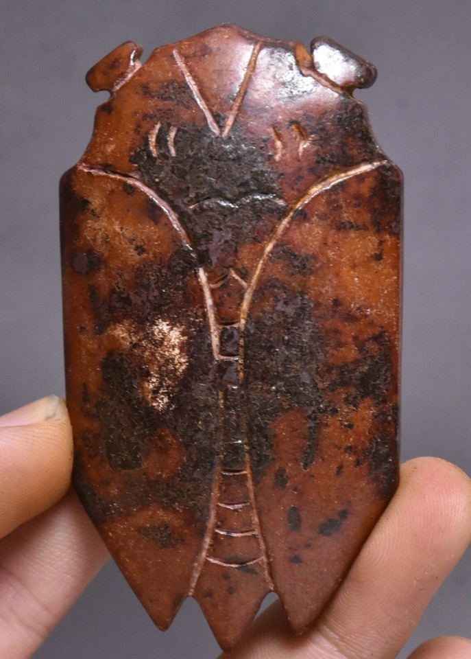 8CM China Hongshan Culture Old Jade Carve Cicada Cicala Animal Amulet ...