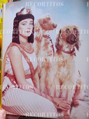 découpage PIN UP GENE TIERNEY | eBay