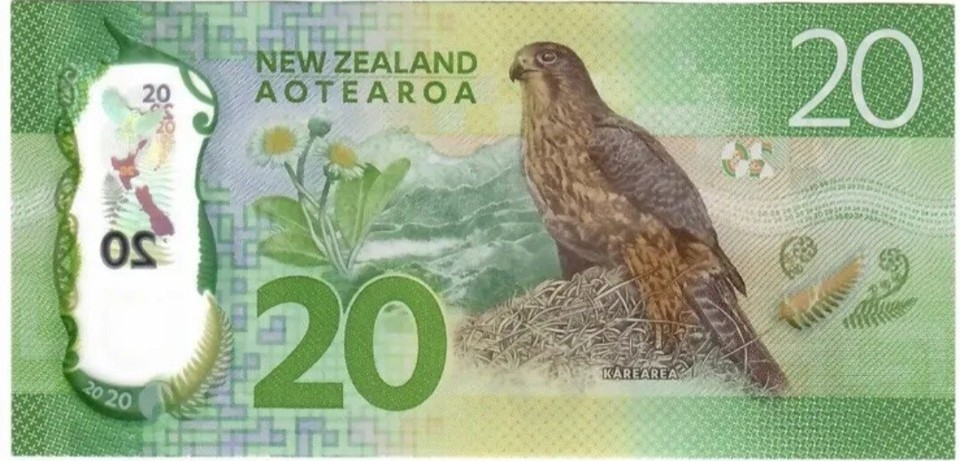 New Zealand $20 Banknote 2016. Single 20 Circulated New Zealand Bill ...