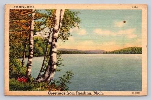 Lake Greetings From Reading Michigan P761 | eBay