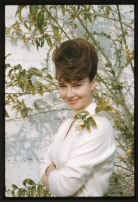 Gigi Perreau 1960s Glamour Photo Shoot Bouffant Hair Original 35mm ...