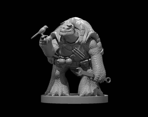 Tortle Packs - DND - Pathfinder - Dungeons & Dragons - RPG - Tabletop ...