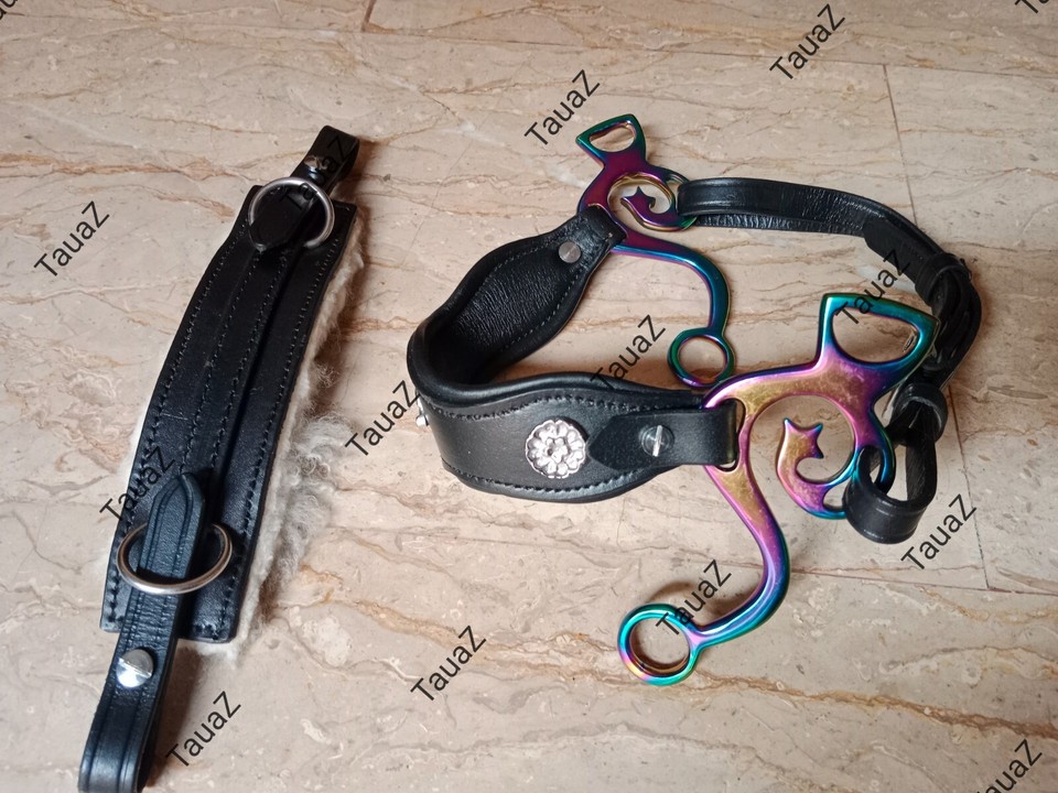 Hackamore with Multi Color shank & two different styles nose bands real ...