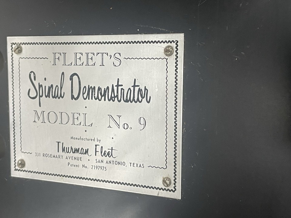 Chiropractic Fleets Spinal Demonstrator | eBay