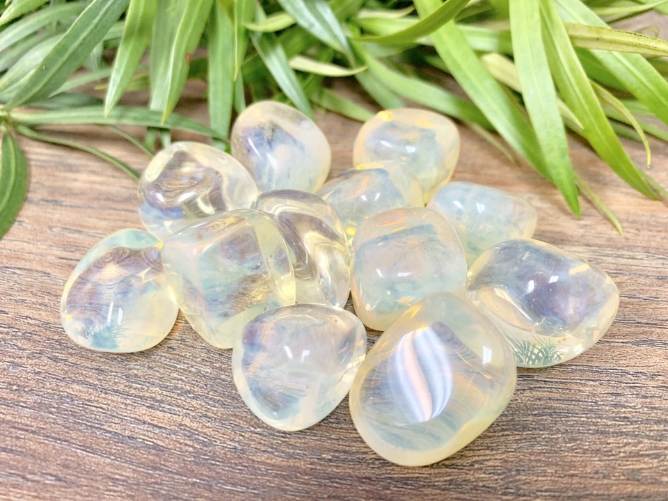 1/2 lb Yellow Obsidian Tumbled Stones Crystal Therapy Gemstone Specimen ...