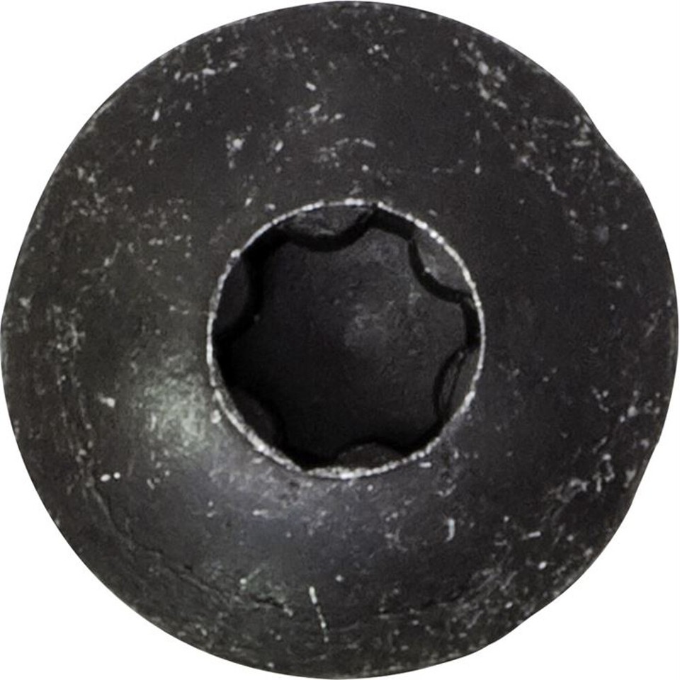 Torx Black Self-Tapping Screws Flange Pan Head Panel/Body Screws 6 x ...