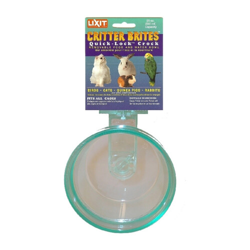 Lixit Veloce Blocco Critter Brite Crock per Piccoli Animali | Acquisti ...