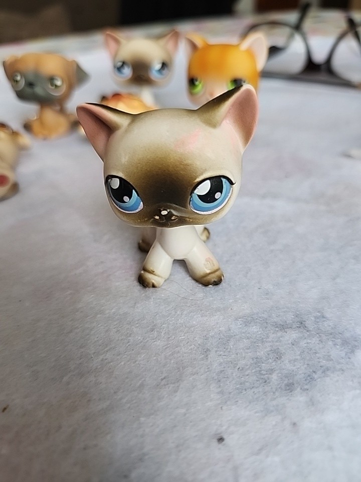 Hasbro Littlest Pet Shop Lot Of cats, dogs & accessories. Authentic. | eBay