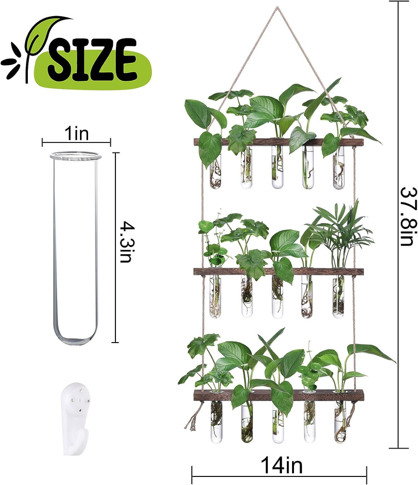 Wall Hanging Propagation Station with Wooden Stand 5 Glass Test Tubes 3 ...