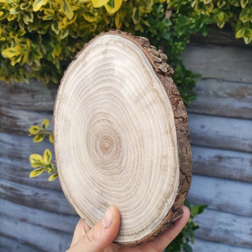 WOODEN SLICES 1-100pcs 2-23CM Wood Log Discs Round Pyrography Rustic ...