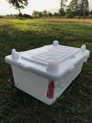 Rodent Feeder Transport Container 5 pack- Shipping Box for Mice & Rats ...