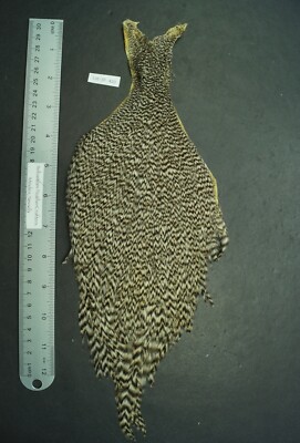 Feathers - Grizzly Rooster Necks