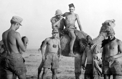 WW II German Photo == German Soldiers - Africa Korps | eBay