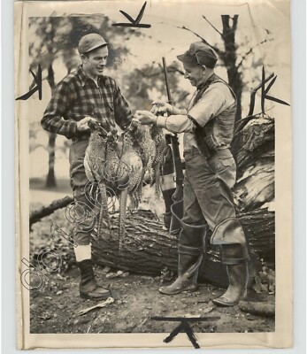 RAY HAYWORTH of Detroit Baseball HUNTING Pheasants VINTAGE 1937 Press ...