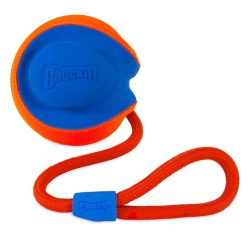 Chuckit! Tetherball Indoor and Outdoor Dog Toy, 18-Inch Rope, Blue and ...