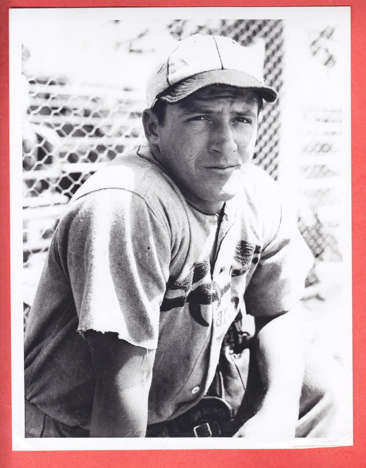 1930'S ST LOUIS CARDINALS 7 X 9 GLOSSY TYPE 1 JOE MEDWICK HOF | eBay