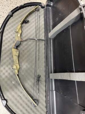 BEAR ARCHERY BLACK BEAR COMPOUND BOW (PBR083845) | eBay