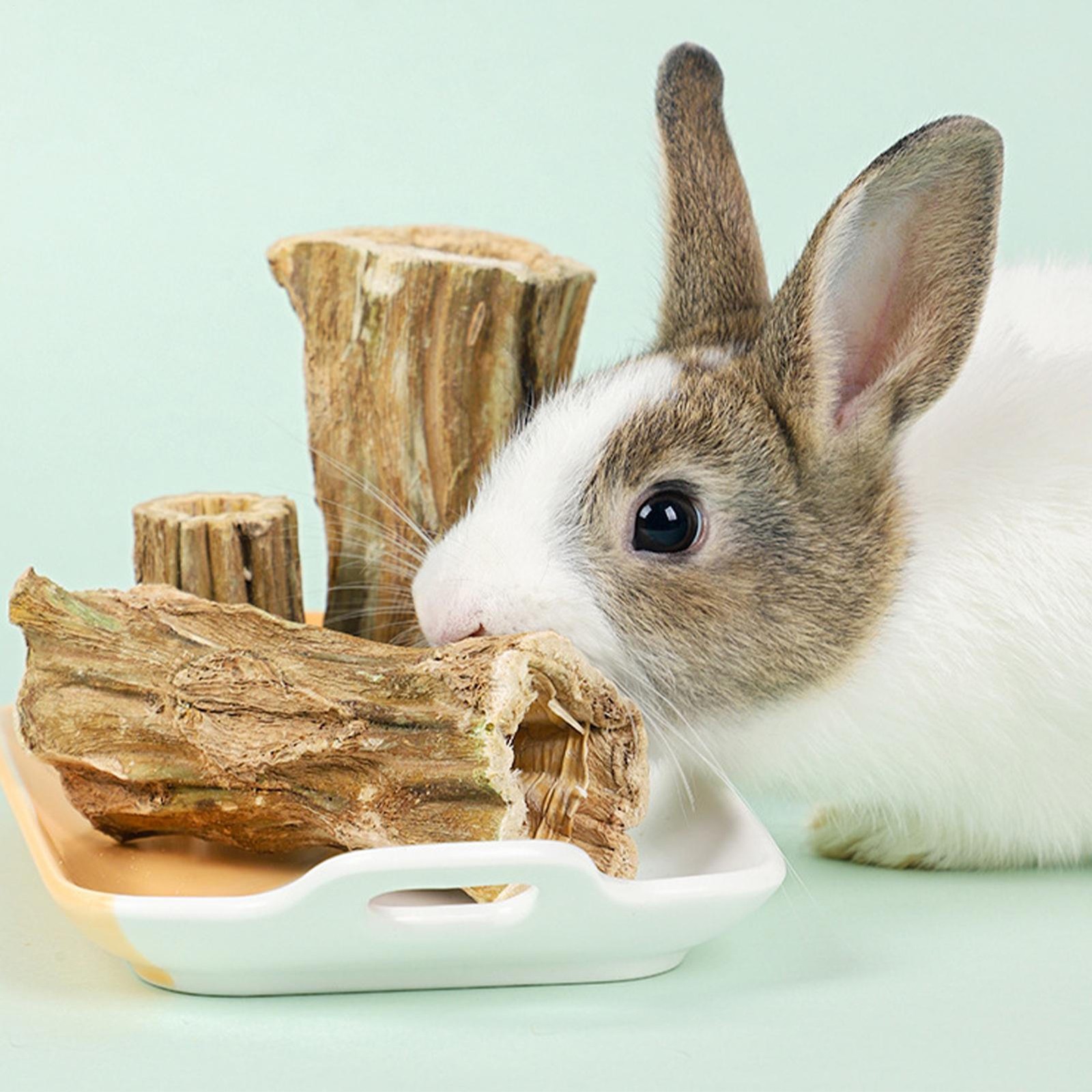 2pcs Pet Chew Toys for Rabbit Small Animal Teeth Care and Exercise ...